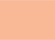 RUBBERPLAAT A4 10 STUKS HUIDSKLEUR 1 Stuk Civo B.V.