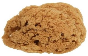 NATUURSPONS KLEIN MODEL 1 Stuk Civo B.V.